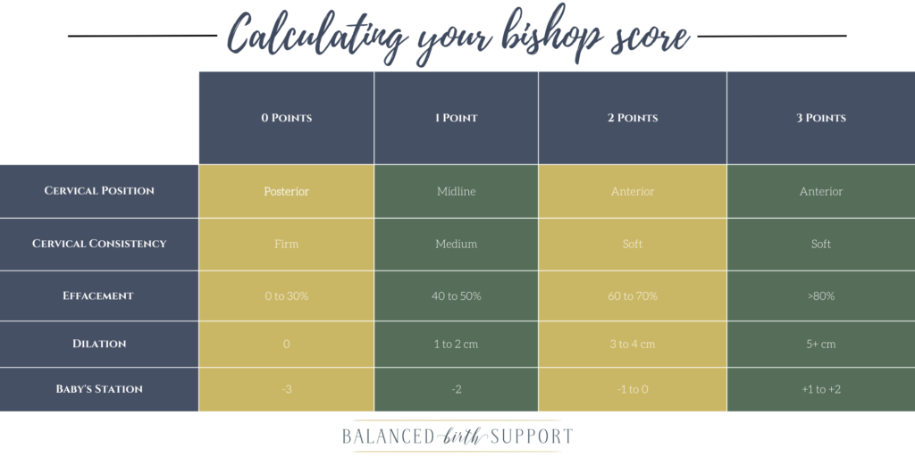 Explaining the Bishop Score For Labor Preparation